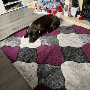 Thick Luxurious Teal Blue Silver Leaf Area Rugs Hand Carved High ...