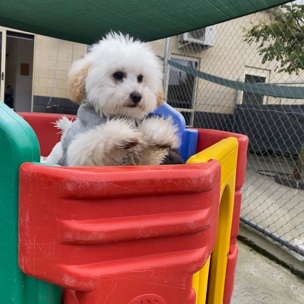 Feelings Thermometer Visual, Self-regulation Zones Tool, Calming Corner ...