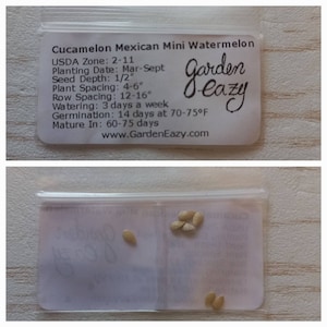 Cucamelon Seeds Heirloom, Open Pollinated, Non GMO Grow Indoors ...
