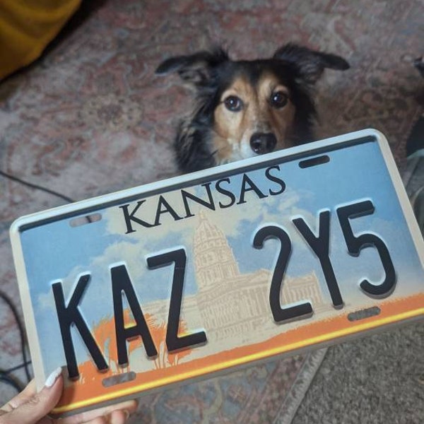 Supernatural II Metal License Plate - Read Description Before Ordering ...