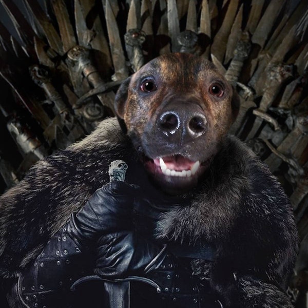Custom Game of Throne Pet Portrait . Jon Snow Iron Throne . Custom Iron ...