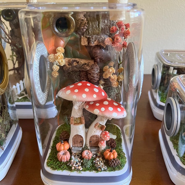 Made-to-order Large Jumping Spider Enclosure, Jumping Spider Decor ...