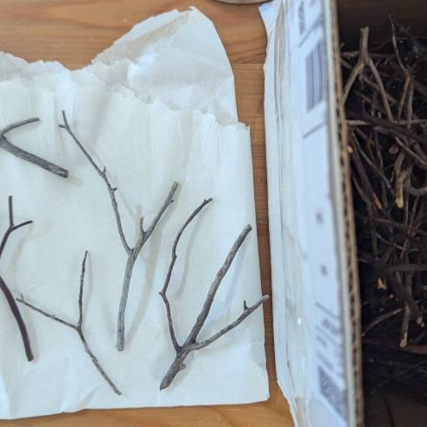 Small Box Full of Mini Manzanita Twigs, Tiny Trees for Crafting - Etsy