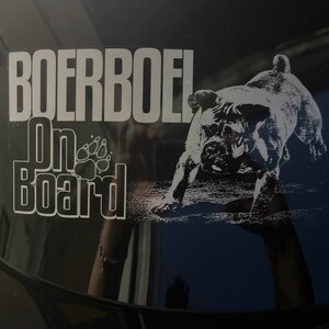 Animals in Transit Car Window Sticker Dog Bumper Sign - Etsy UK