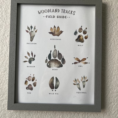 Forest Field Guide Print, Animal Tracks Woodland, Animal Paw Prints ...