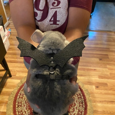 Ferret Costume Halloween Pet Clothes for Ferrets. Bat Wings. Harness ...