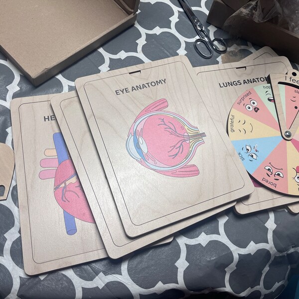 Wooden Book Puzzle Human Anatomy, Homeschool Learning, Human Body Toy ...