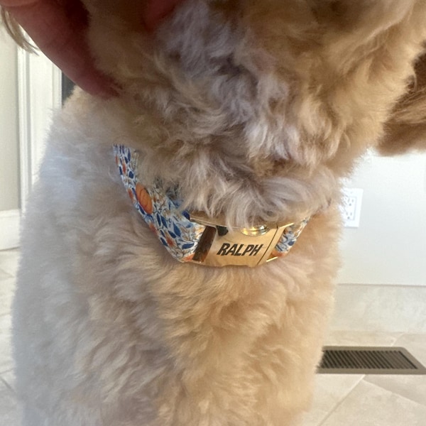 Mountain Dog Collar Personalized Northern Lights Dog Collar Girl Aurora ...