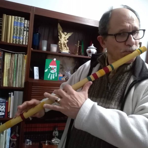 TRAVEL SITAR Kinnar Seen Style Black Pearl - Etsy