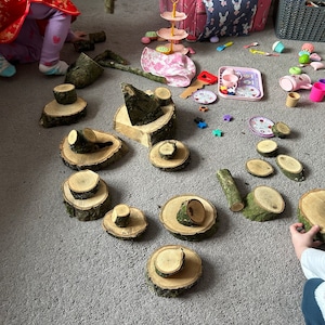 Small World Trees Forest School Wooden Log Slice Nature Natural - Etsy UK