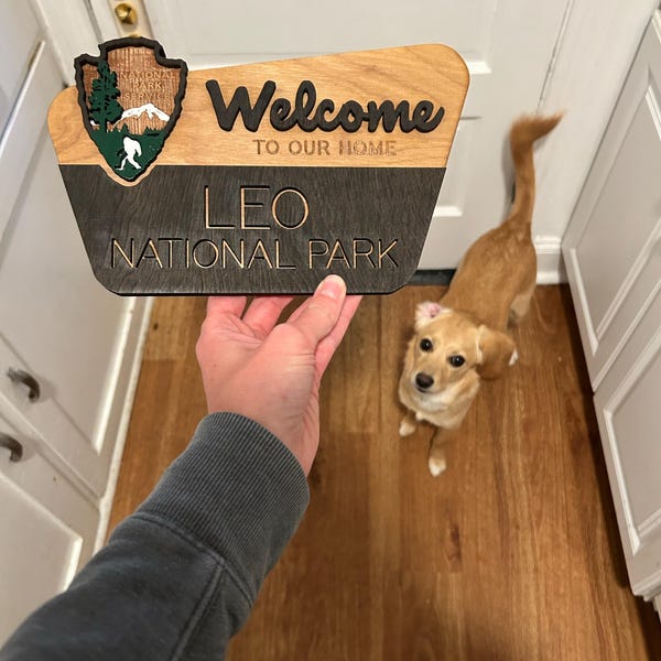 NPS LIGHTED Welcome Sign - NPS Inspired Family Name Sign, Custom ...