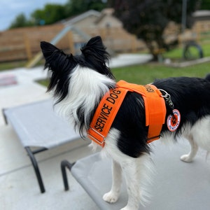 Custom Embroidered X-back Dog Harness // Custom Fleece or Vinyl X-back ...