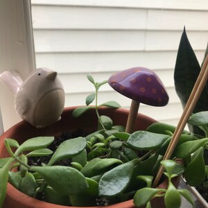 Handmade Charcoal Grey Ceramic Henry Hamster Footed Planter | Etsy