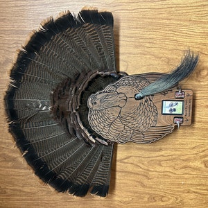 Personalized Double Wide Pheasant Tail Mount Plaque, Tail Feather ...