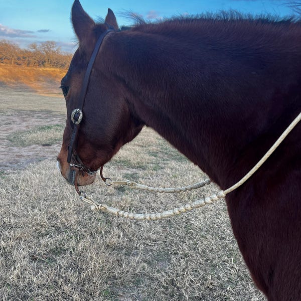 Handmade Bosal Set, 40 Plaits Rawhide Natural & Black Bosal Set, Bosal ...