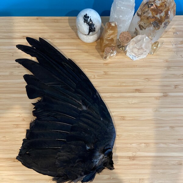Genuine Crow Wing Smudging Fan - Etsy UK