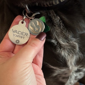 Personalized LED Dog Tag Light up Dog Tag Color Changing Stocking ...