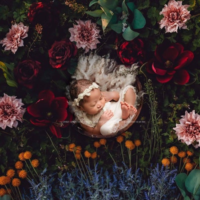 Sunflower Field Newborn Digital Background - Etsy