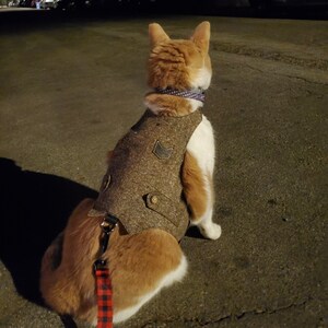 Classic Tweed Cat Walking Jacket dark Kazuki. | Etsy