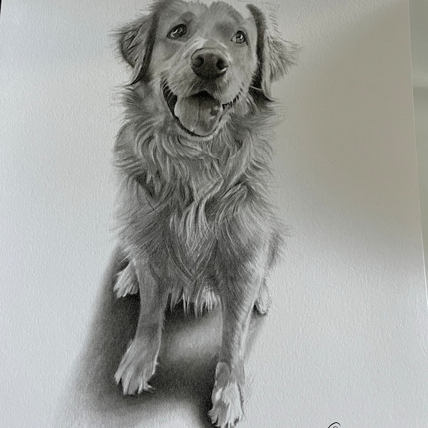 Custom Pet Portrait, Pet Memorial, Gifts, Dogs, Dog Drawing, Charcoal ...