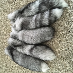Coyote Fur Tails Set of Five - Etsy