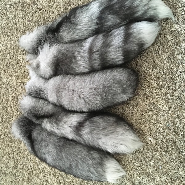 Coyote Fur Tails - Set of Five - Etsy