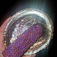 Abalone Shell - Perfect for Smudge Sticks - Alter Tool - High Quality ...