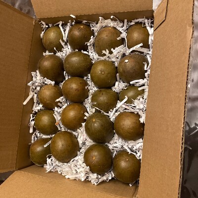 Dried Flounder Fish Powder 大地魚粉 12 Oz - Etsy