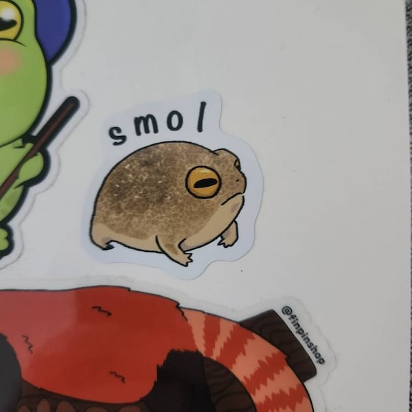 Cute Desert Rain Frog Sticker, Funny Animal Meme Sticker, Water-bottle ...