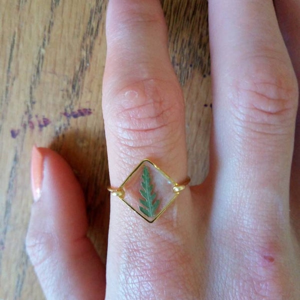 Real Fern Ring/pressed Leaf Ring/plant Ring/resin Ring/botanical Ring ...