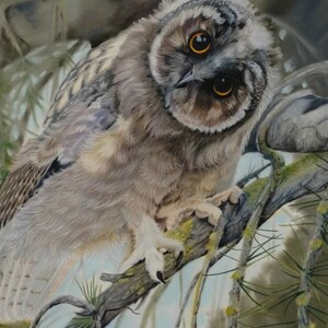 Octopus Gourd Lamp Hand Painted Pierced and Carved Gourd - Etsy