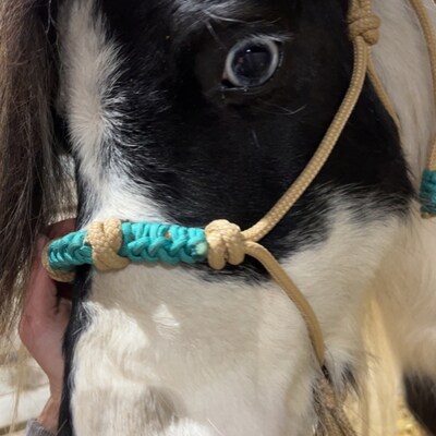 Custom Soft or Stiff Yacht Rope Halters With Paracording - Etsy