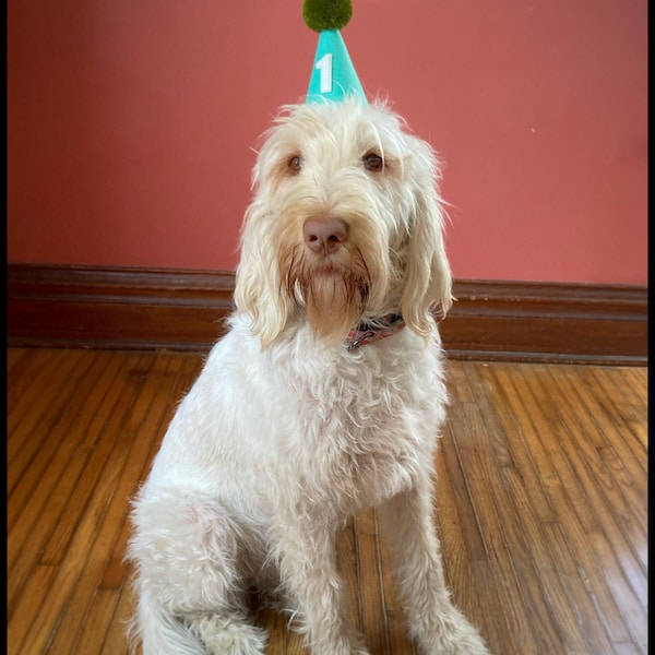 Tin Man Funnel Hat, Tin Man Costume, Tin Man Cosplay, Costume Accessory ...