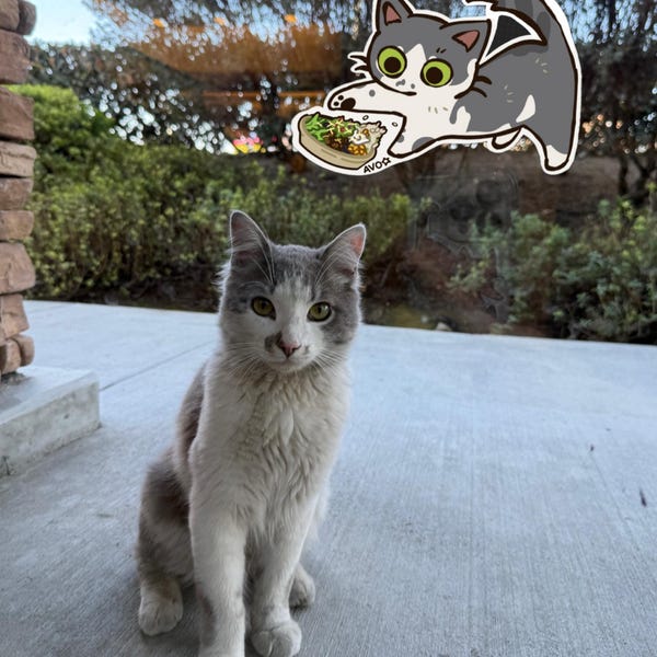 Personalized Cat Stickers - Hand Drawn | Custom Pet Stickers, Cat ...