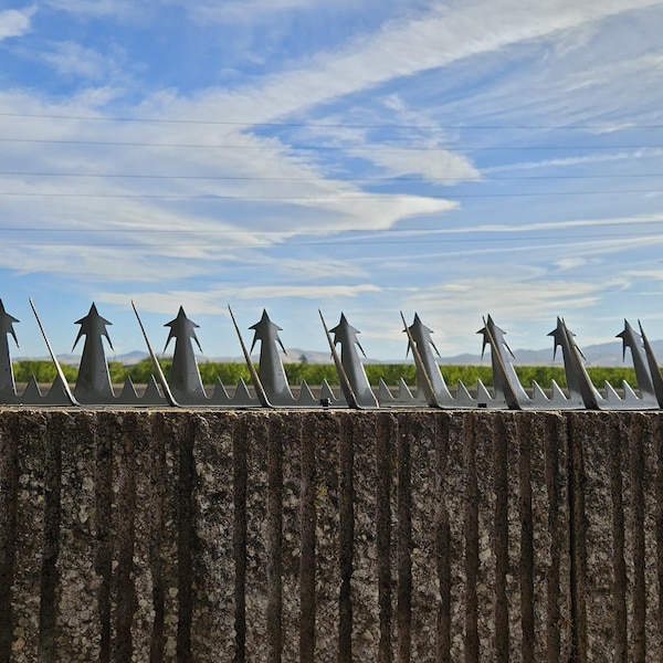 Stainless Steel Anti-climb Fence Spikes | Security Fence Topper, 50 ...