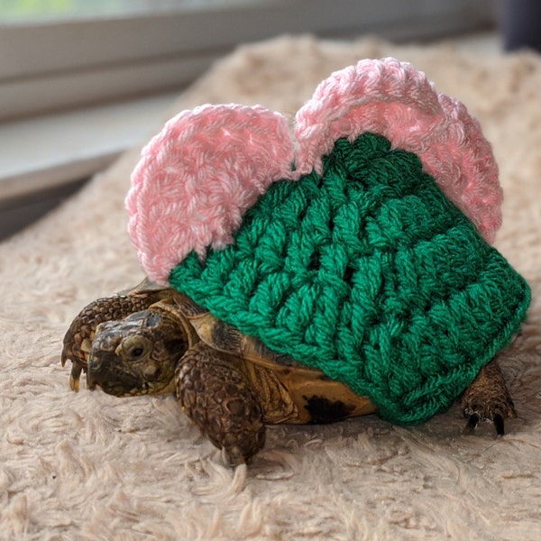 Tortoise Sweater-stegatortoise, Turtle Costume, Pet Costumes, Tortoise ...