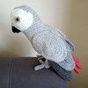 African Grey Parrot Crochet PATTERN Uk Terms - Etsy