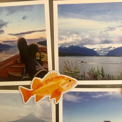 Yelloweye Rockfish Sticker Red Snapper Alaska Fish Cute Marine - Etsy