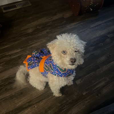 University of Alabama Dog Dress - Etsy UK