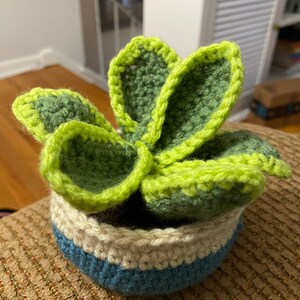 Dwarf Snake Plant Crochet Pattern - Etsy