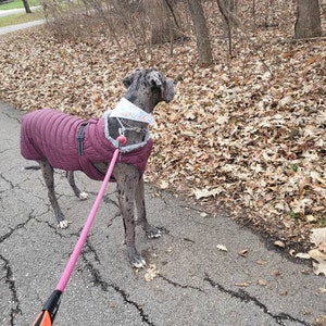 Tan Grand Voyager Luxury Dog Carrier Handmade in USA Airline Approved ...