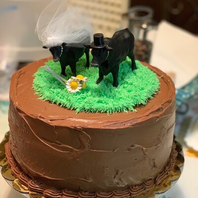 Angus-cow Cake Topper-black Angus Cows-barn Wedding Cake - Etsy
