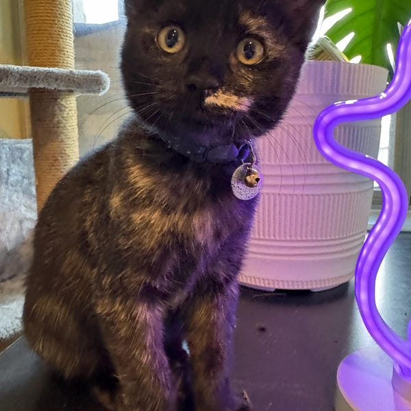 Dog Mom Acrostic Necklace With Symbols Hand Stamped Aluminum ...