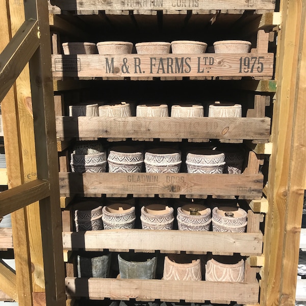 10 X CHITTING VEGETABLE TRAYS - Vintage Antique Rustic Wood Farm Tray ...