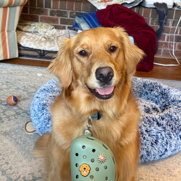 Red Soldier Tribute Pen With Heart Topper Faux Rhinestone Grip, Fine ...