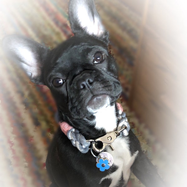 Seaside Blue Natural Cotton Rope Dog Collar - Nautical Dog Collar ...