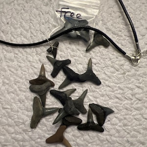 Make Yer Own Shark Art Kit Reef Shark 8x10 - Etsy