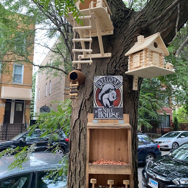 Beautiful Squirrel Feeder, Wooden Garden Decore, Personalized Squirrel ...