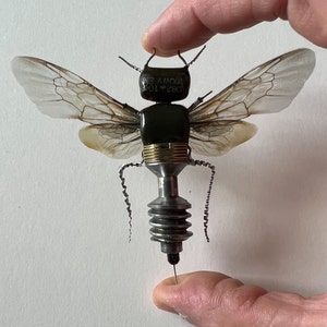 10 Sheet Transparency Variety Pack Clear Wing Transparency - Etsy