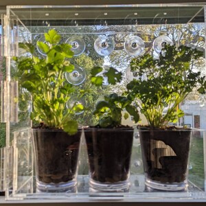 Suction Cup Window Planter Long Triangular Window Box Style | Etsy